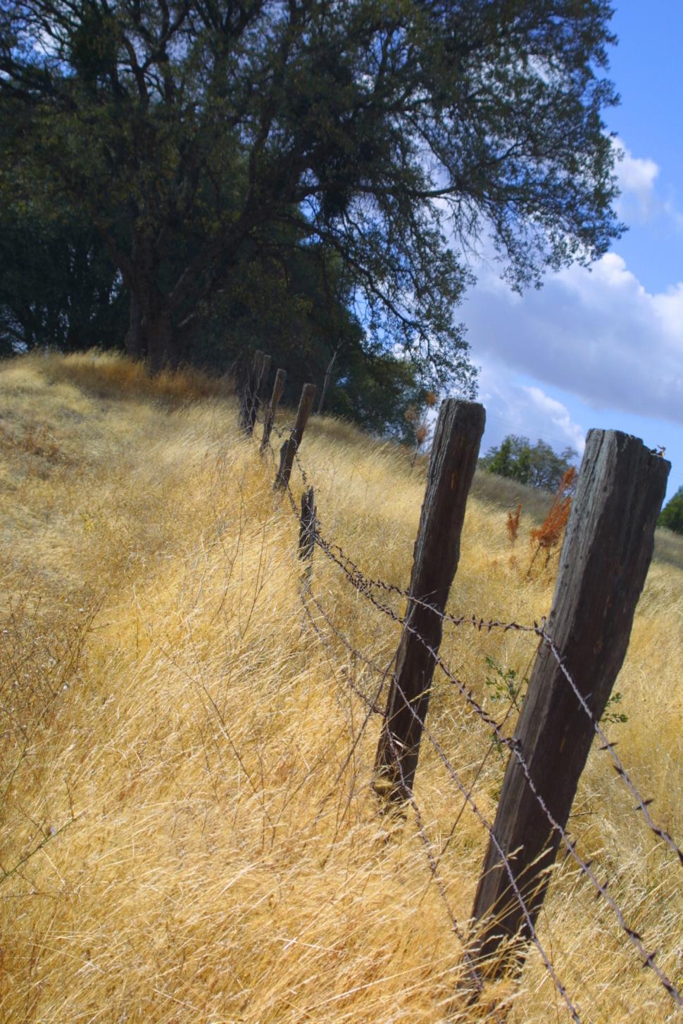 Free Stock Photo of The Open Field | Download Free Images and Free ...