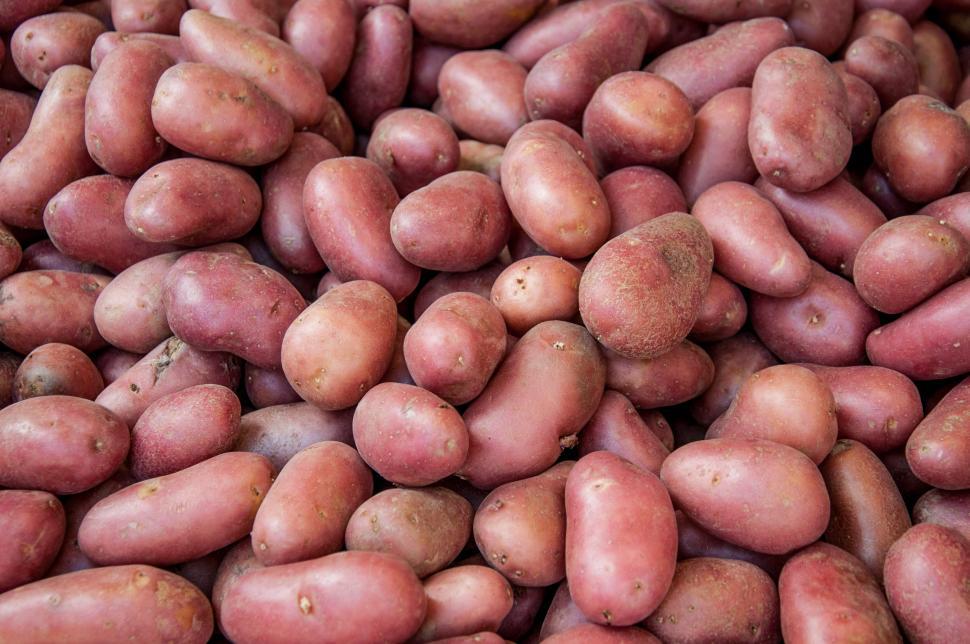 Free Stock Photo of Organic red potato pile sold on market | Download ...