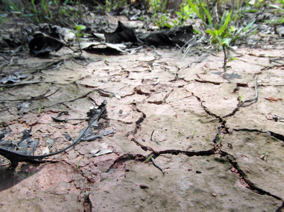 Free Stock Photo of Dry Cracked Earth | Download Free Images and Free ...