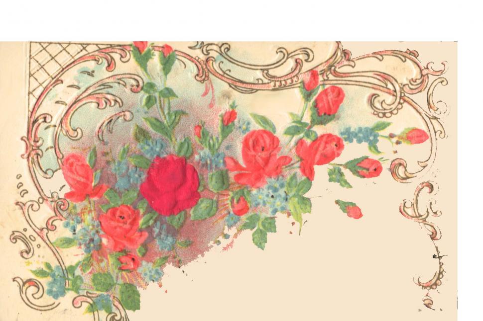 Free Stock Photo of Rose Cards | Download Free Images and Free ...