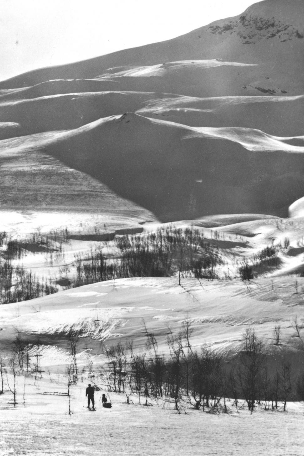 Free Stock Photo of Fjeld | Download Free Images and Free Illustrations