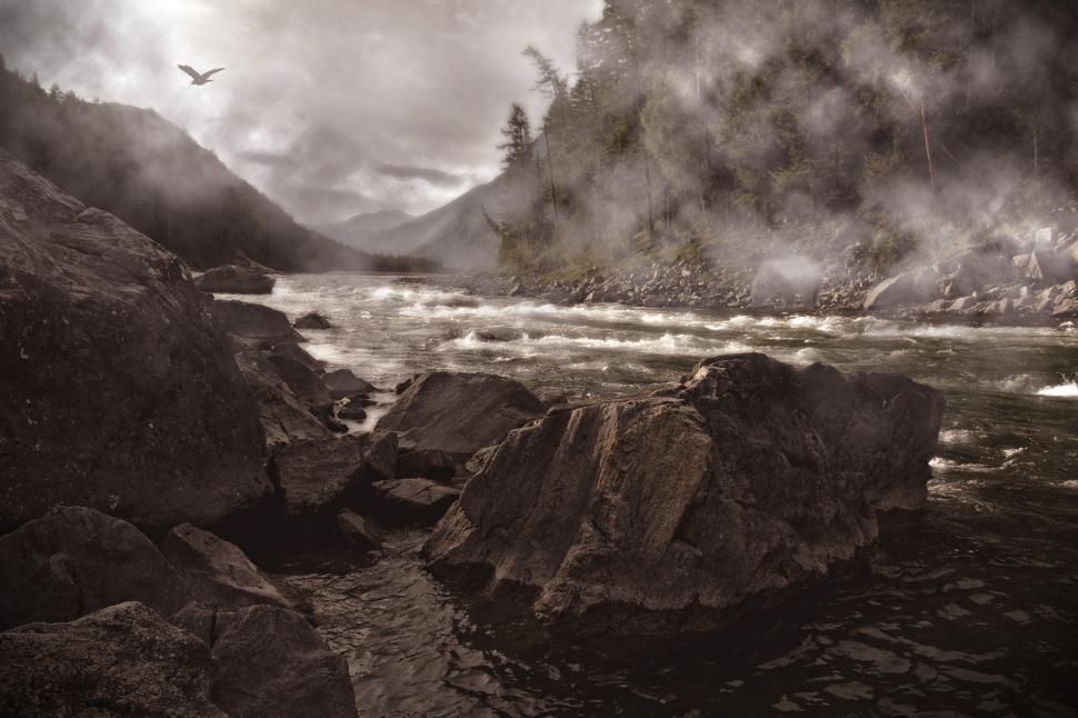 Free Stock Photo of Mystic Misty River | Download Free Images and Free ...