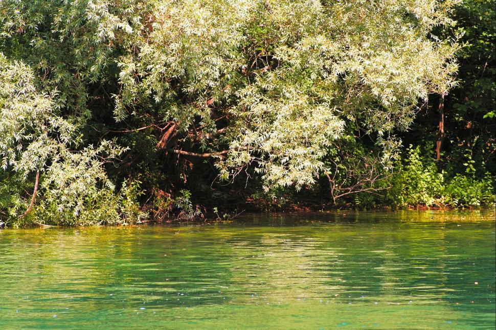 Free Stock Photo of The river | Download Free Images and Free Illustrations