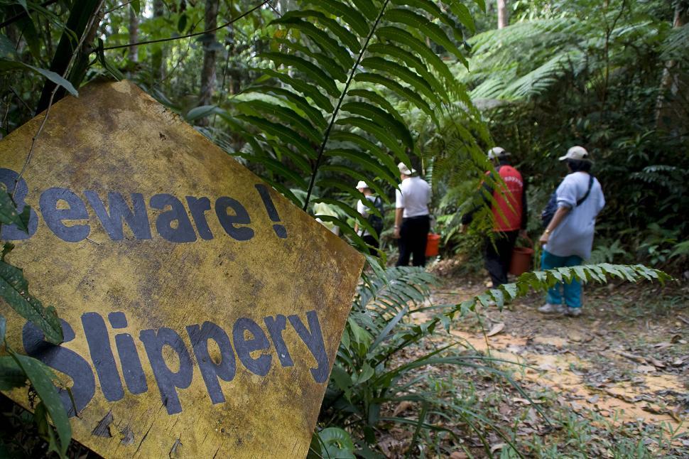 Free Stock Photo of Slippery when wet | Download Free Images and Free ...