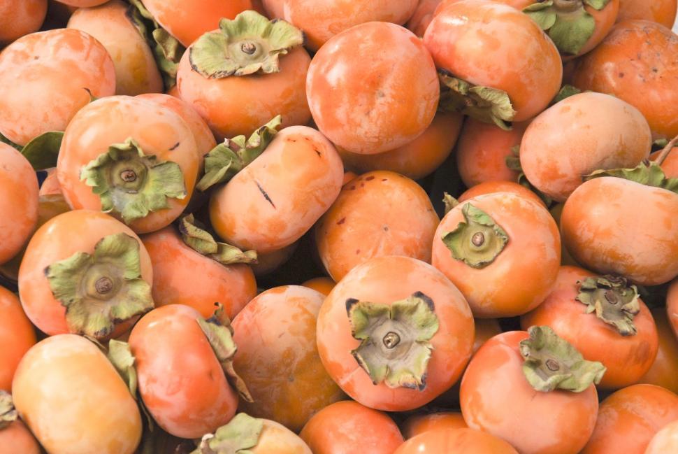 Free Stock Photo of Persimmions | Download Free Images and Free ...