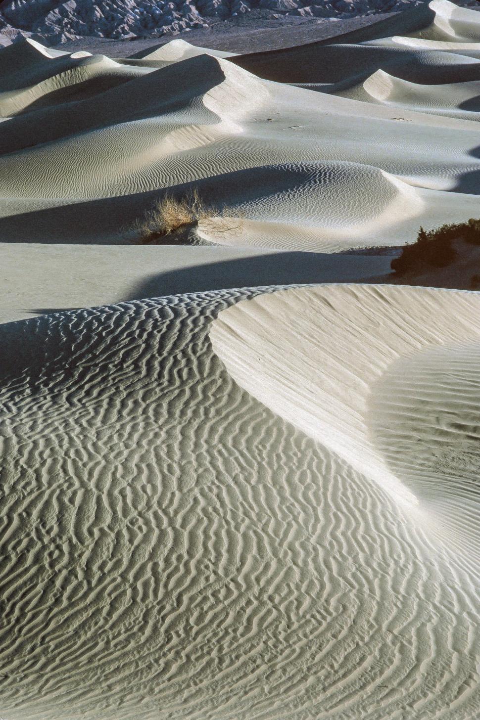 Free Stock Photo of Sand Dunes | Download Free Images and Free ...