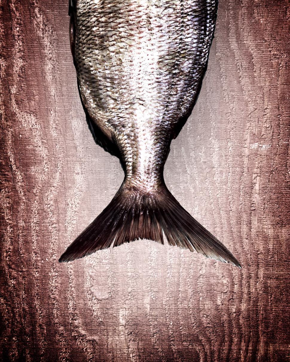 Free Stock Photo of Snapper fish tail on red wood background - Healthy ...