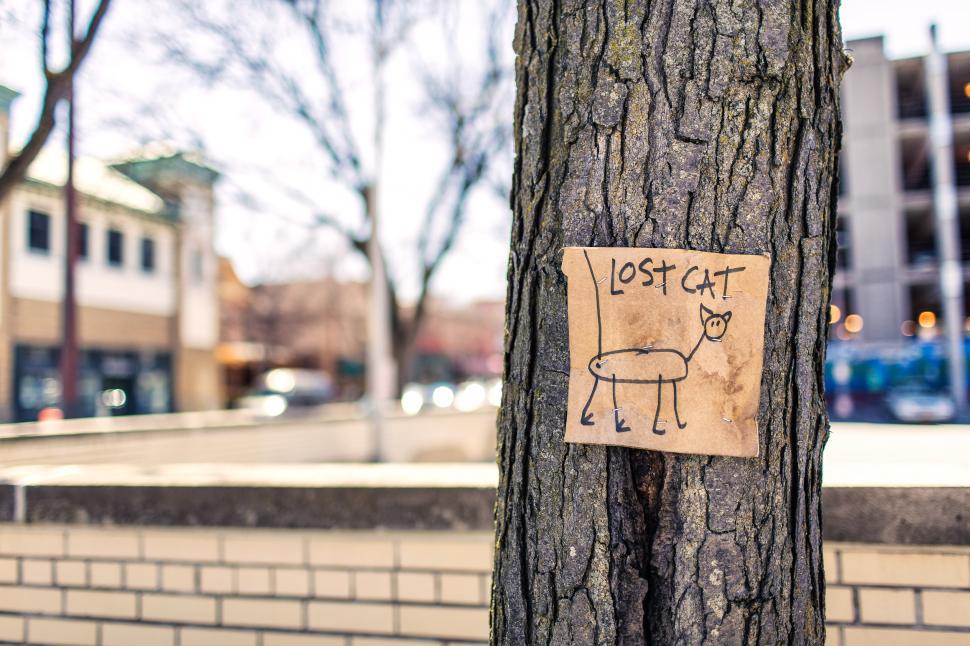 Free Stock Photo of Placard On Tree | Download Free Images and Free ...