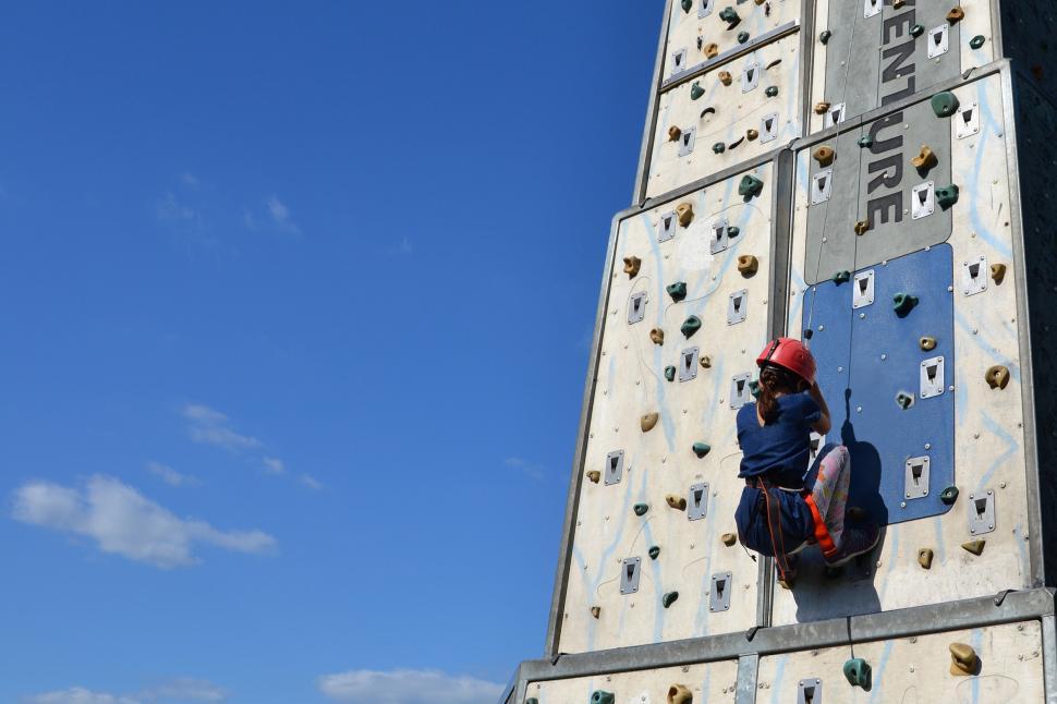 Free Stock Photo of Little wall climber | Download Free Images and Free ...