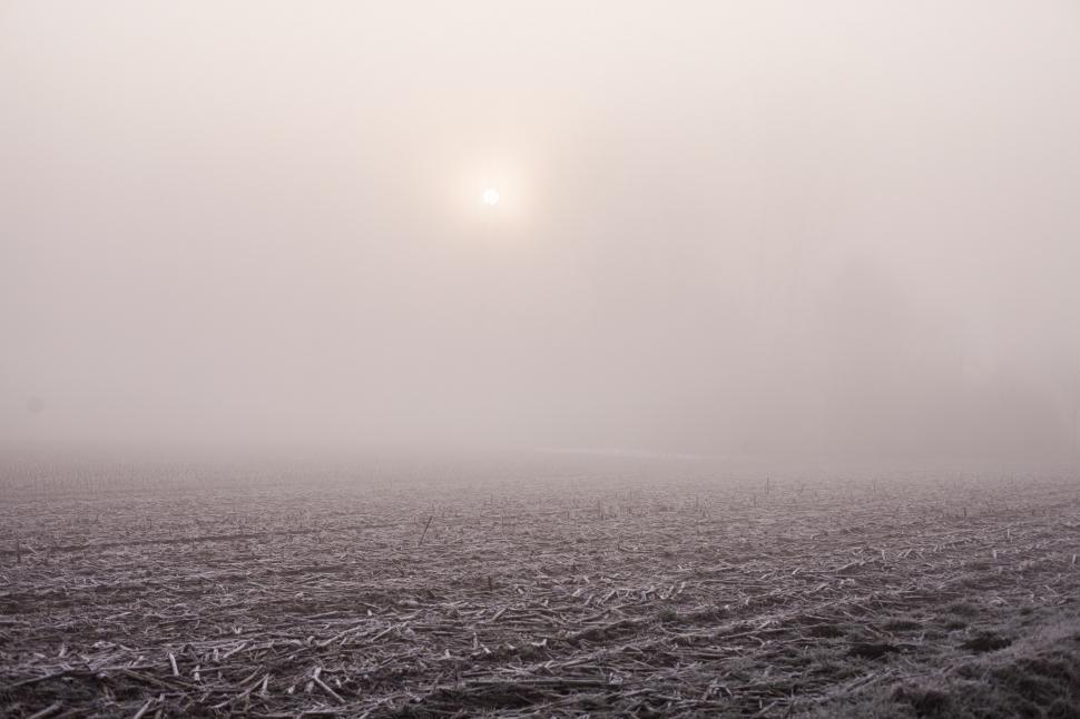 Free Stock Photo of View of a foggy day sunset | Download Free Images ...