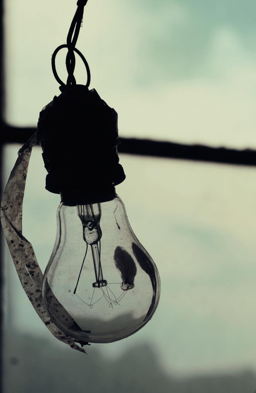 Free Stock Photo of Light bulb | Download Free Images and Free ...