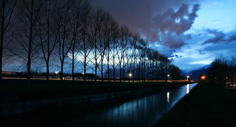 Free Stock Photo of Row of trees at sunset | Download Free Images and ...