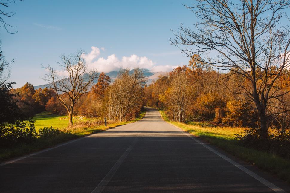 Free Stock Photo of Asphalt road road through the filed | Download Free ...