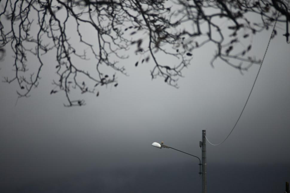 Free Stock Photo of Light post | Download Free Images and Free ...