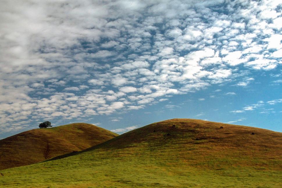 Free Stock Photo of Landscape | Download Free Images and Free Illustrations