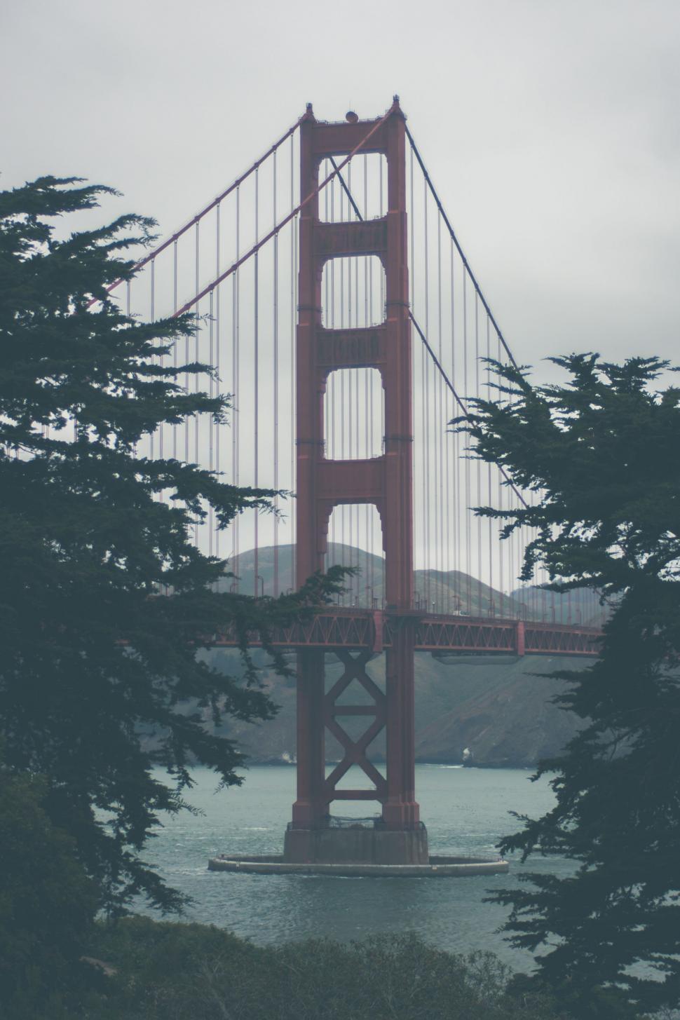 Free Stock Photo of A Glimpse of the Golden Gate Bridge Through Trees ...