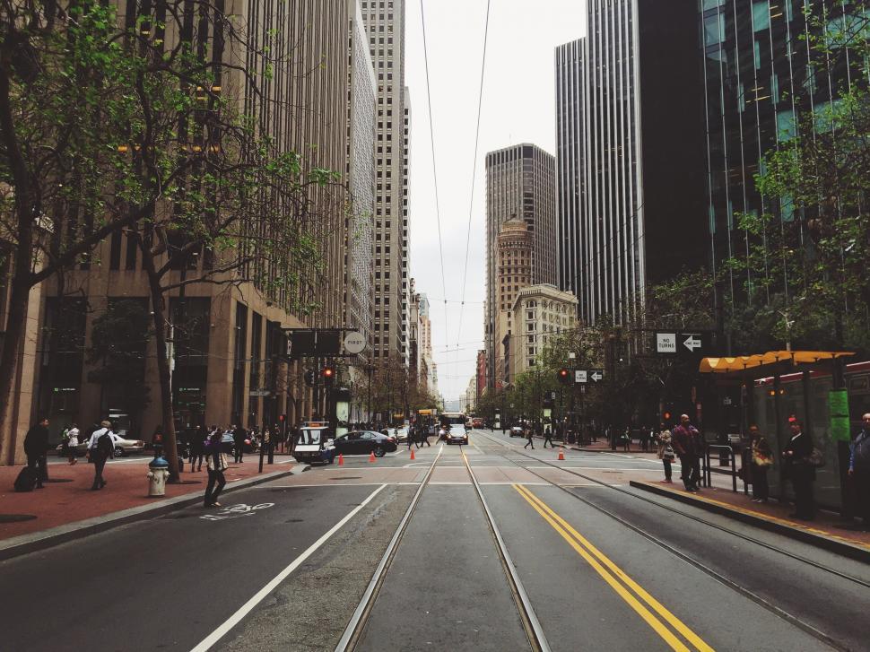 Free Stock Photo of City Street Lined With Tall Buildings and Trees ...