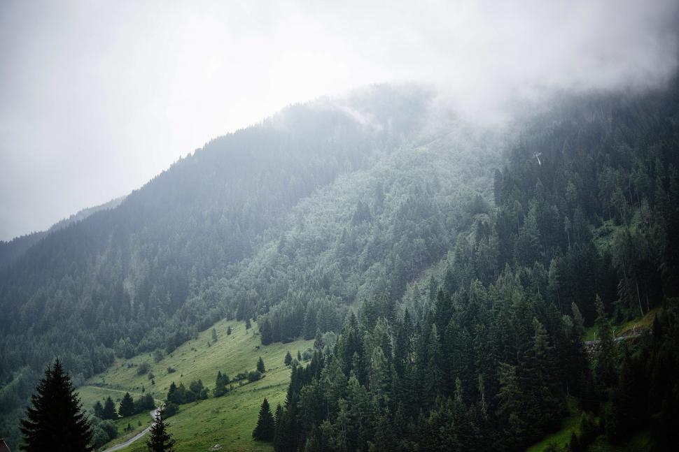 Free Stock Photo of Foggy Mountain With Trees | Download Free Images ...