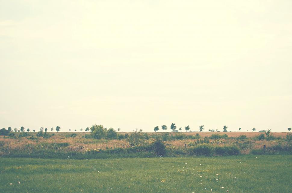 Free Stock Photo of Grassy Field With Trees in the Distance | Download ...