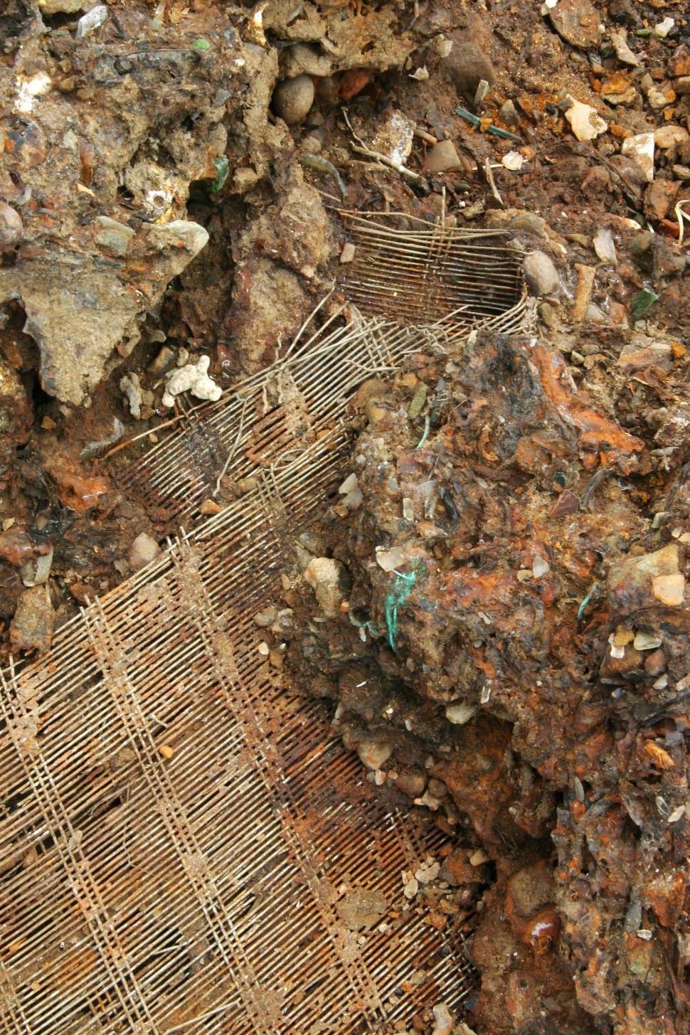 Free Stock Photo of Beach debris | Download Free Images and Free ...