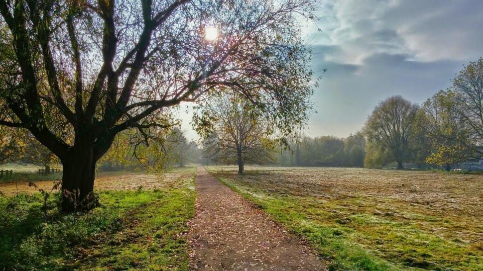Free Stock Photo of Path Cutting Through Grassy Field | Download Free ...
