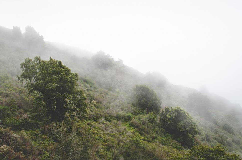 Free Stock Photo of Foggy Mountain With Trees | Download Free Images ...