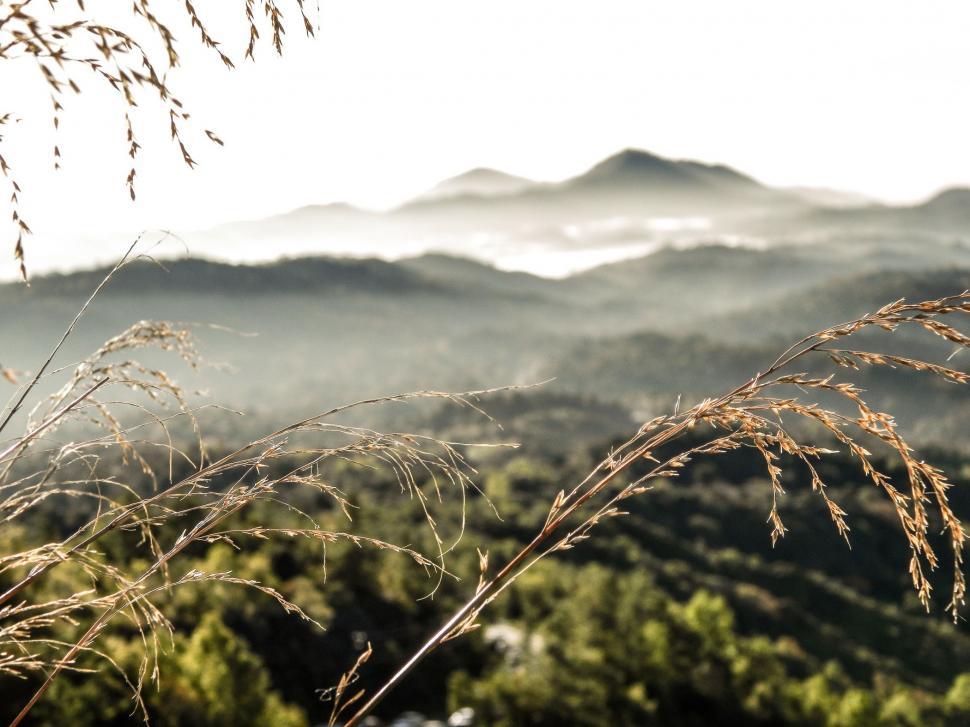 Free Stock Photo of Distant Mountain Range View | Download Free Images ...