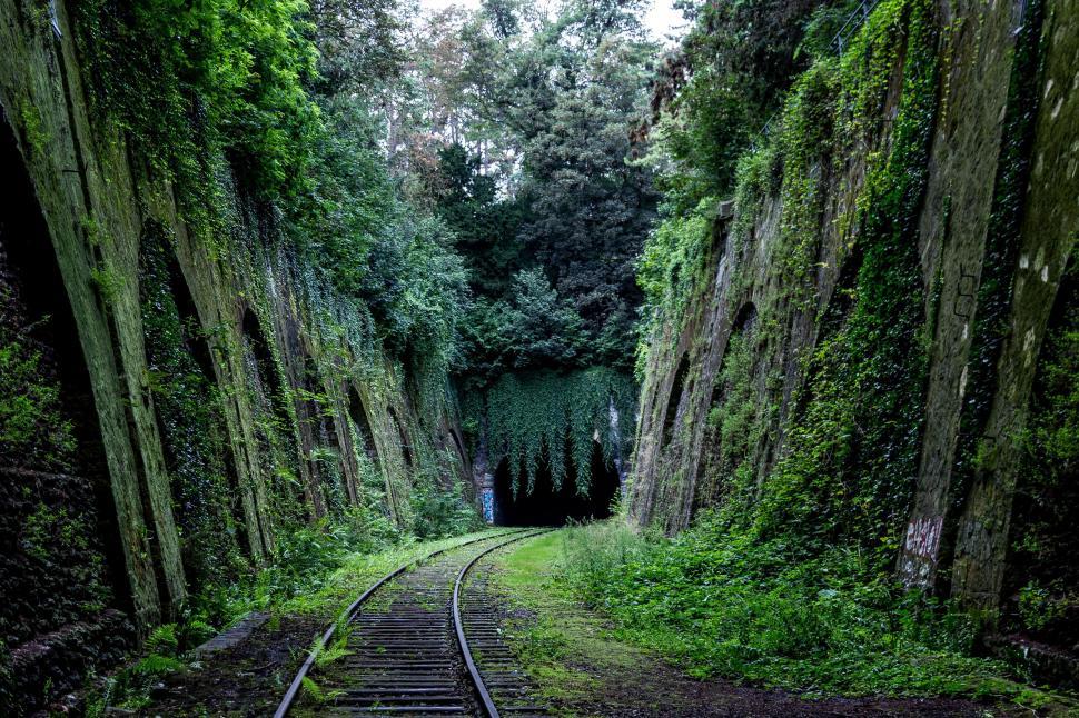 Free Stock Photo of Train Track Running Through Forest | Download Free ...