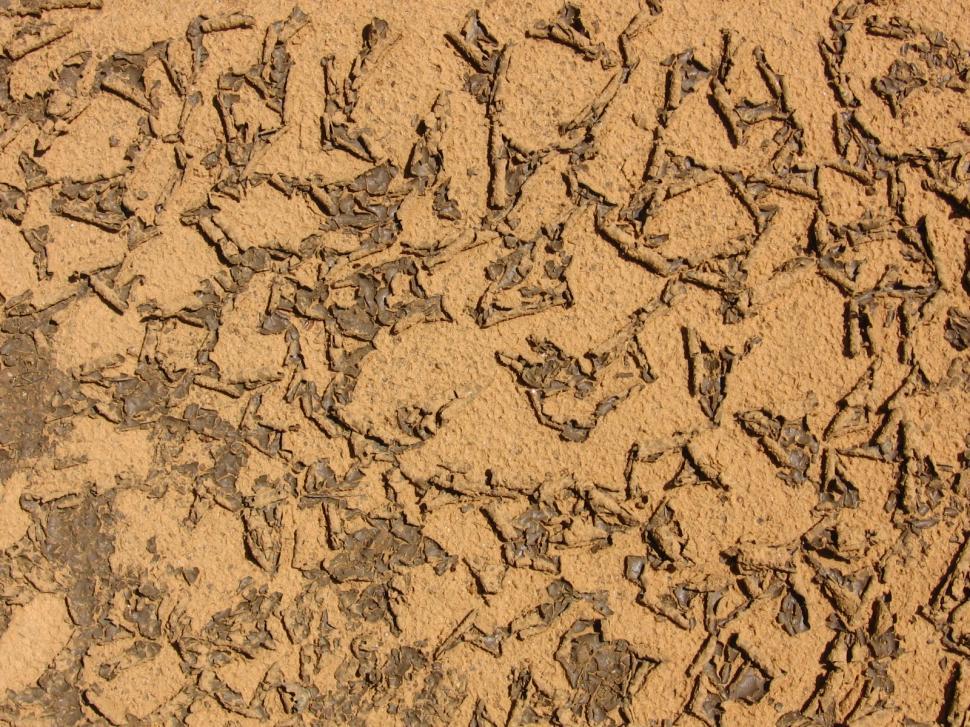 Free Stock Photo of Cracked mud | Download Free Images and Free ...