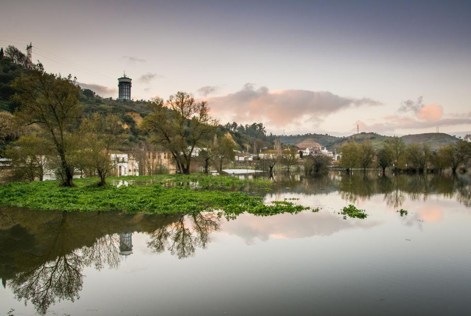 Free Stock Photo of Urban Lake Surrounded by Trees and Buildings ...