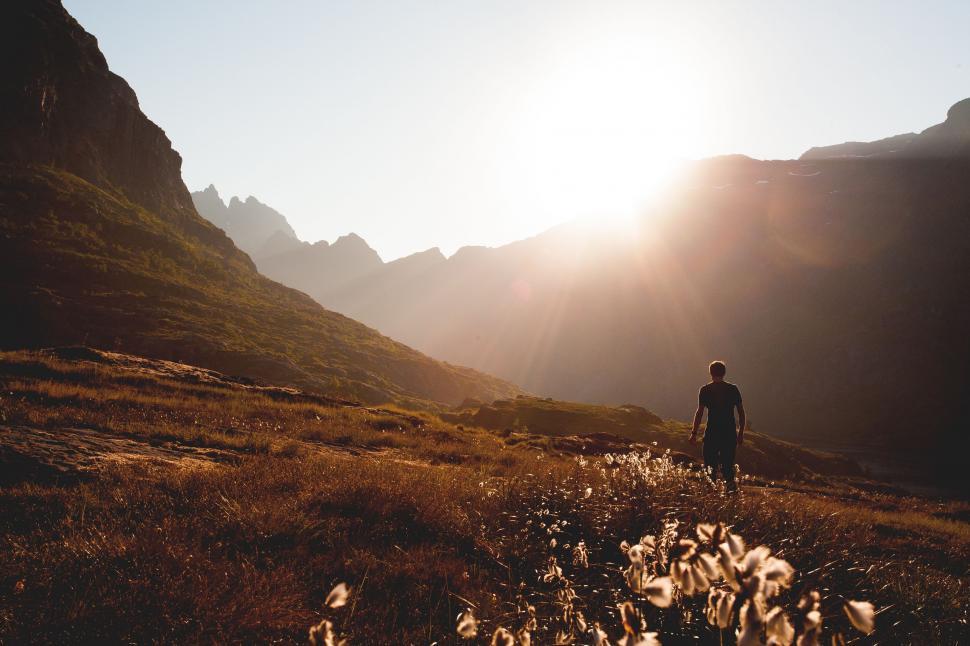 Free Stock Photo of Man Standing in Field | Download Free Images and ...