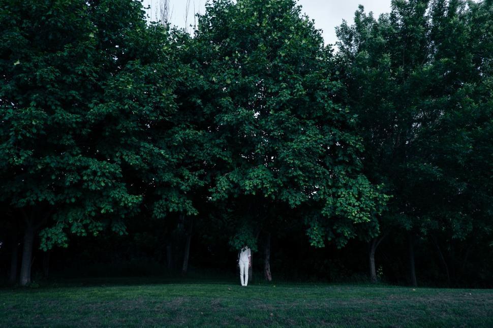 Free Stock Photo of Person Standing in Field Surrounded by Trees ...