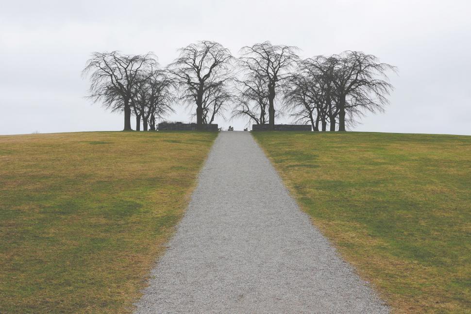 Free Stock Photo of Tree-Lined Road Stretching Into the Distance ...
