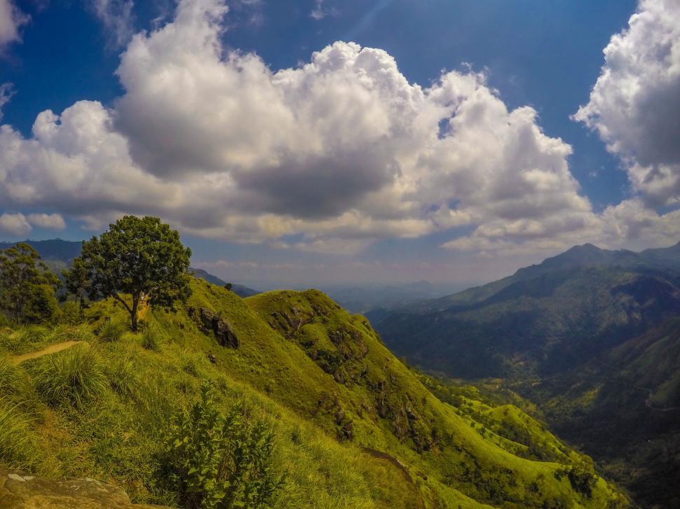 Free Stock Photo of Rolling Green Hillside Covered in Lush Grass ...