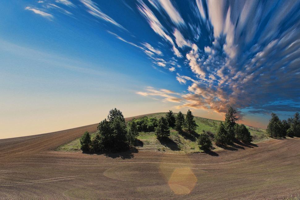 Free Stock Photo of Trees Standing in the Center of a Field | Download ...