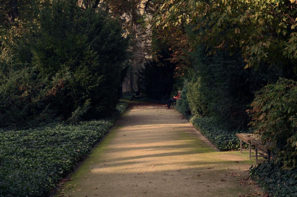 Free Stock Photo of way road tunnel passage passageway landscape street ...