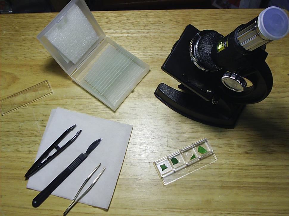 Free Stock Photo of Biology Experiment | Download Free Images and Free ...