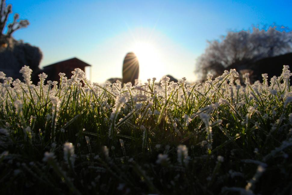 Free Stock Photo of Sun Shining Through Clouds Over Field of Grass ...