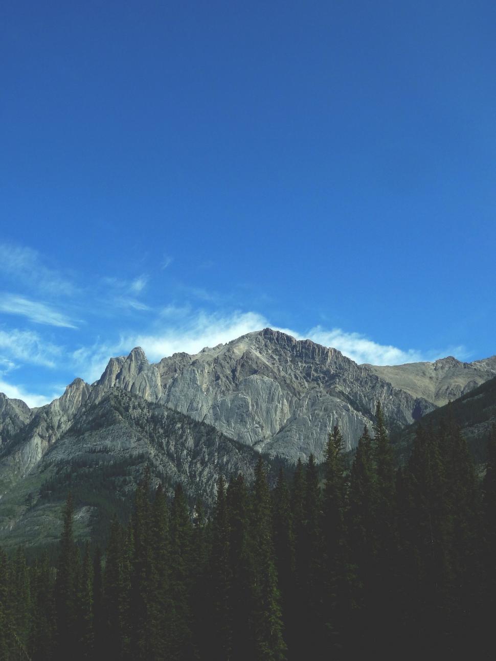Free Stock Photo of Mountain Range With Trees in Foreground | Download ...