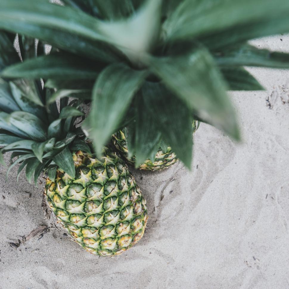 Free Stock Photo of Two Pineapples on Sandy Beach | Download Free ...
