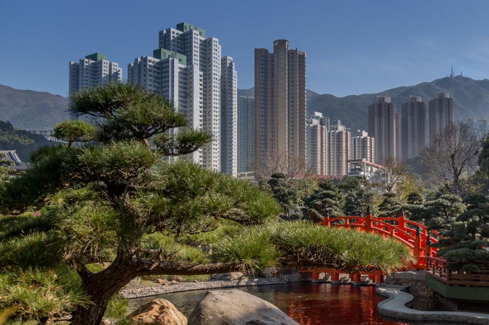Free Stock Photo of Red Bridge Over Small Pond in Park | Download Free ...