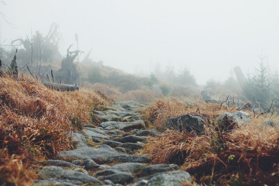 Free Stock Photo of Stone Path Cutting Through Foggy Field | Download ...