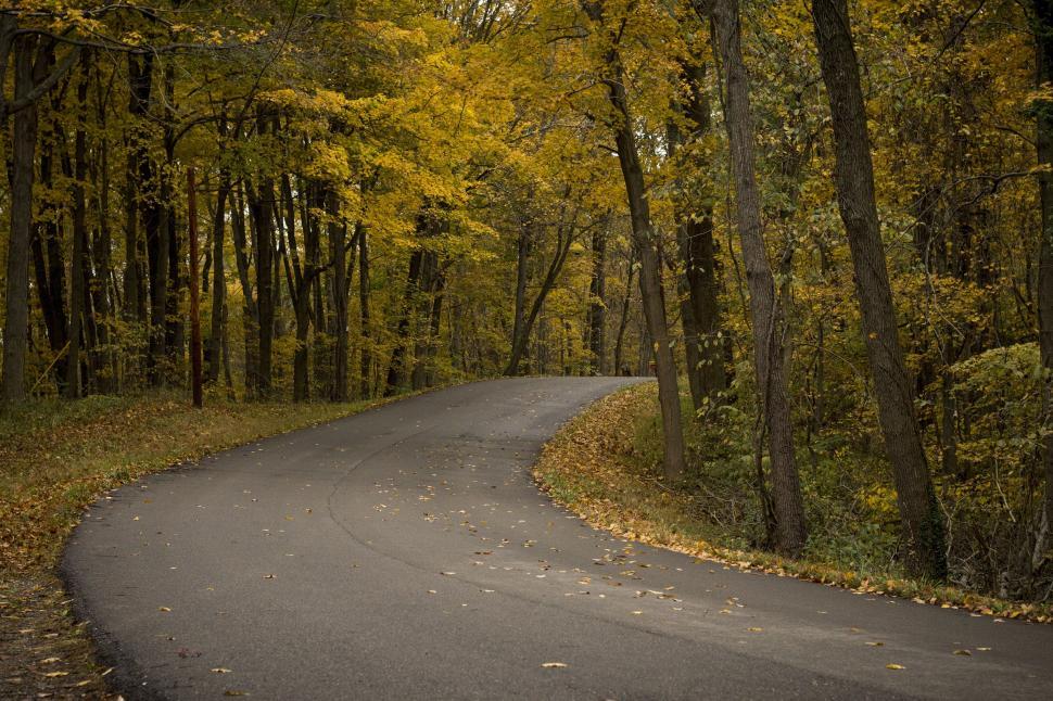 Free Stock Photo of Winding Road Cutting Through Forest | Download Free ...