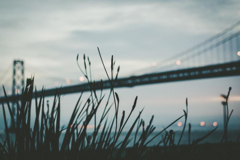 Free Stock Photo of Blurry Bridge Over Body of Water | Download Free ...