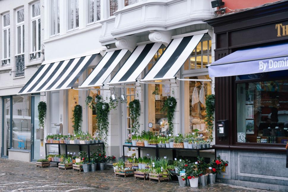 Free Stock Photo of Row of Potted Plants Outside Store | Download Free ...