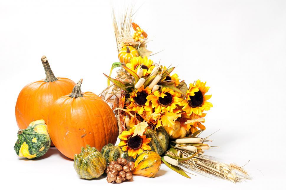 Free Stock Photo of Fall cornucopia on a White back ground | Download ...