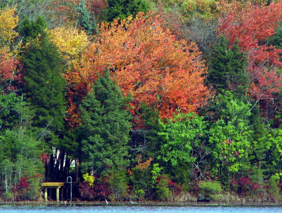 Free Stock Photo of Fall | Download Free Images and Free Illustrations