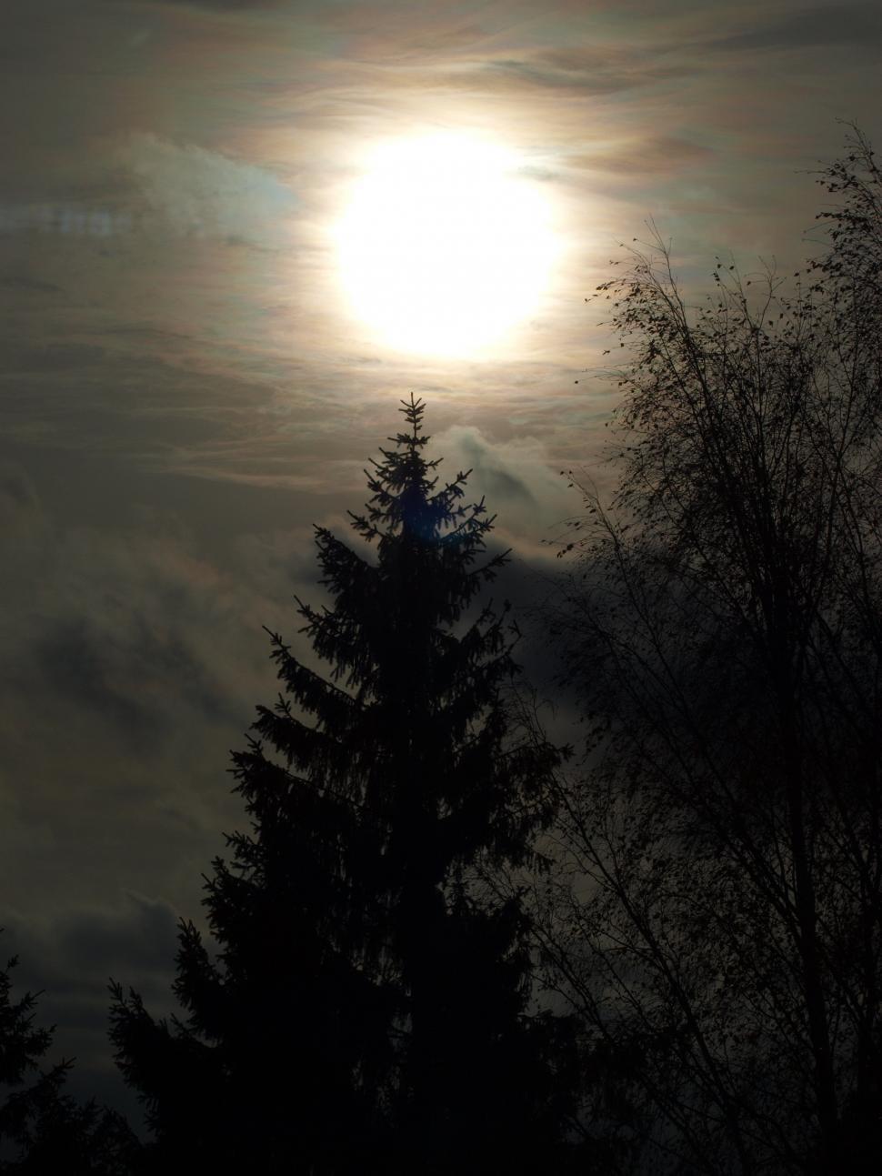 Free Stock Photo of Sunset over trees | Download Free Images and Free ...