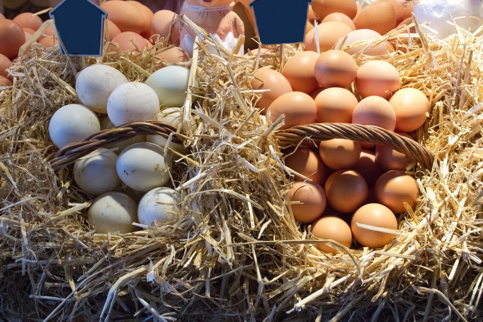 Free Stock Photo of Eggs at the Market | Download Free Images and Free ...