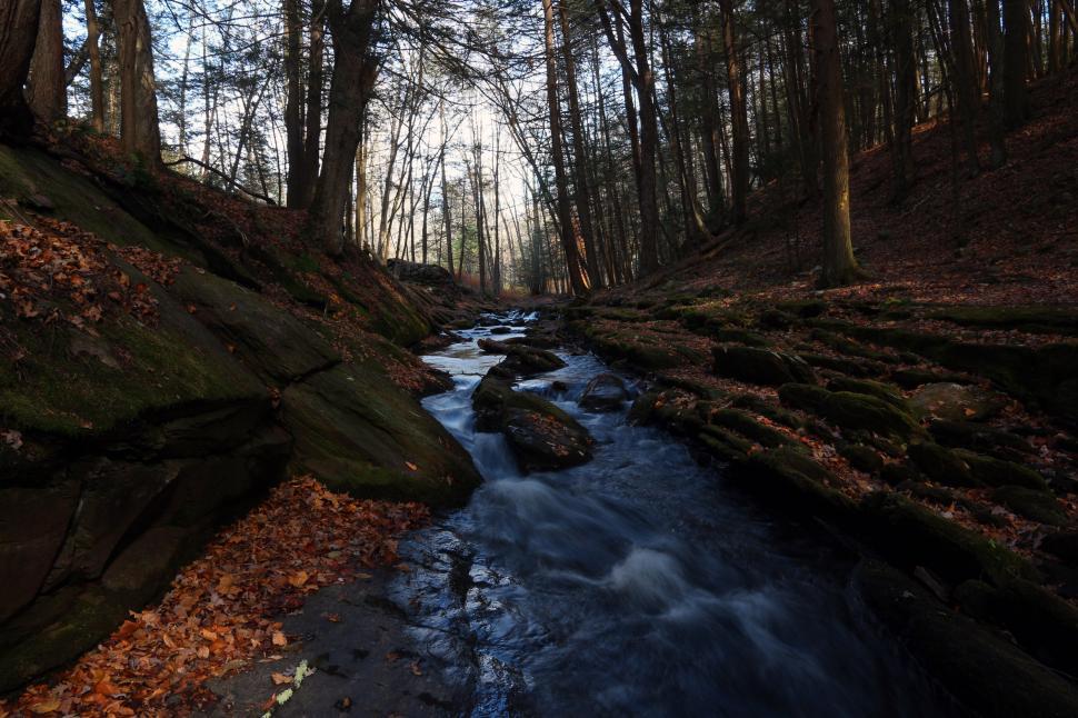 Free Stock Photo of Van Campens Brook | Download Free Images and Free ...